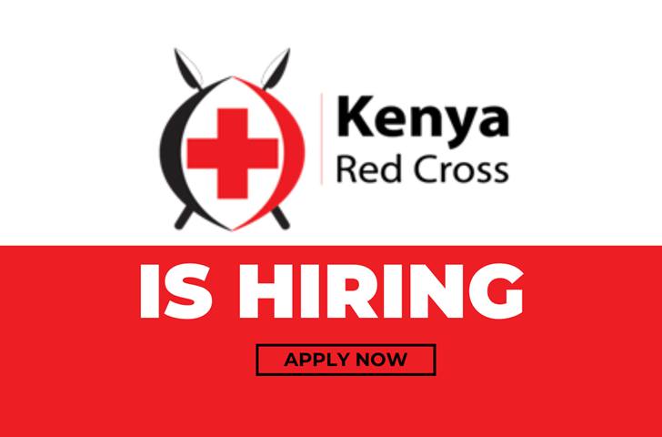 4 Vacancies Open At Kenya Red Cross Society - Opportunities for Young Kenyans