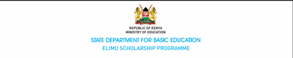 Elimu Scholarship Program 2026 - Application Forms - Opportunities for ...