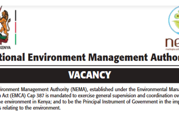 KenGen Hiring Manager- Business Application - Opportunities for Young ...