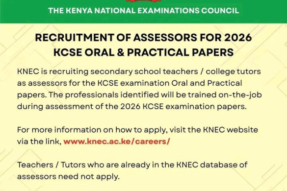 Kenya Red Cross Society Open Tenders - Opportunities for Young Kenyans